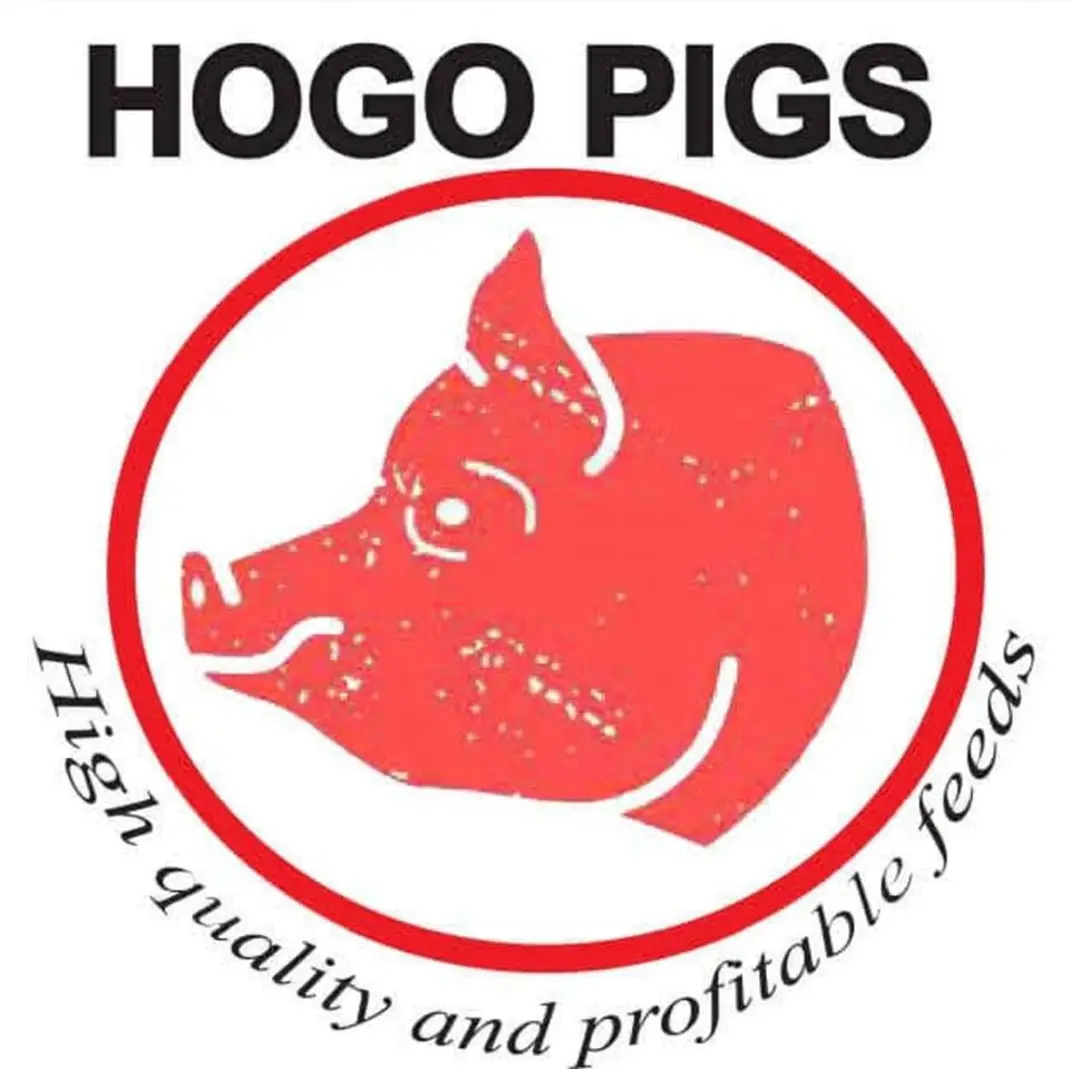 HOGO ANIMAL FEEDS (HOGO PIG CONCENTRATE) - Contacts, Career, Services ...